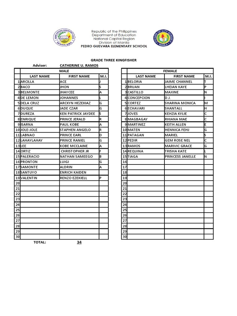 SELG Election Masterlist Template | PDF