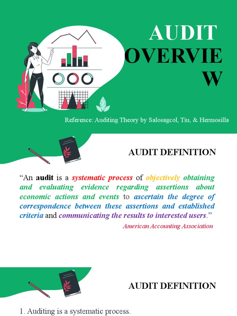 1 Audit Overview and General Audit Universe | PDF