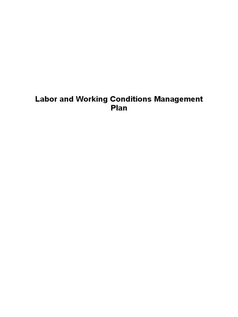 Labour Management Plan Overview | PDF | Employment | Occupational ...