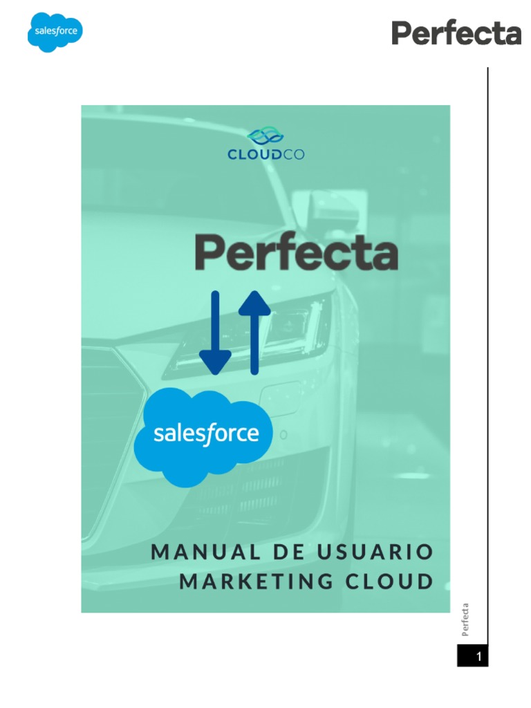 Manual Usuario MKT Cloud Perfecta | PDF | Archivo de computadora ...