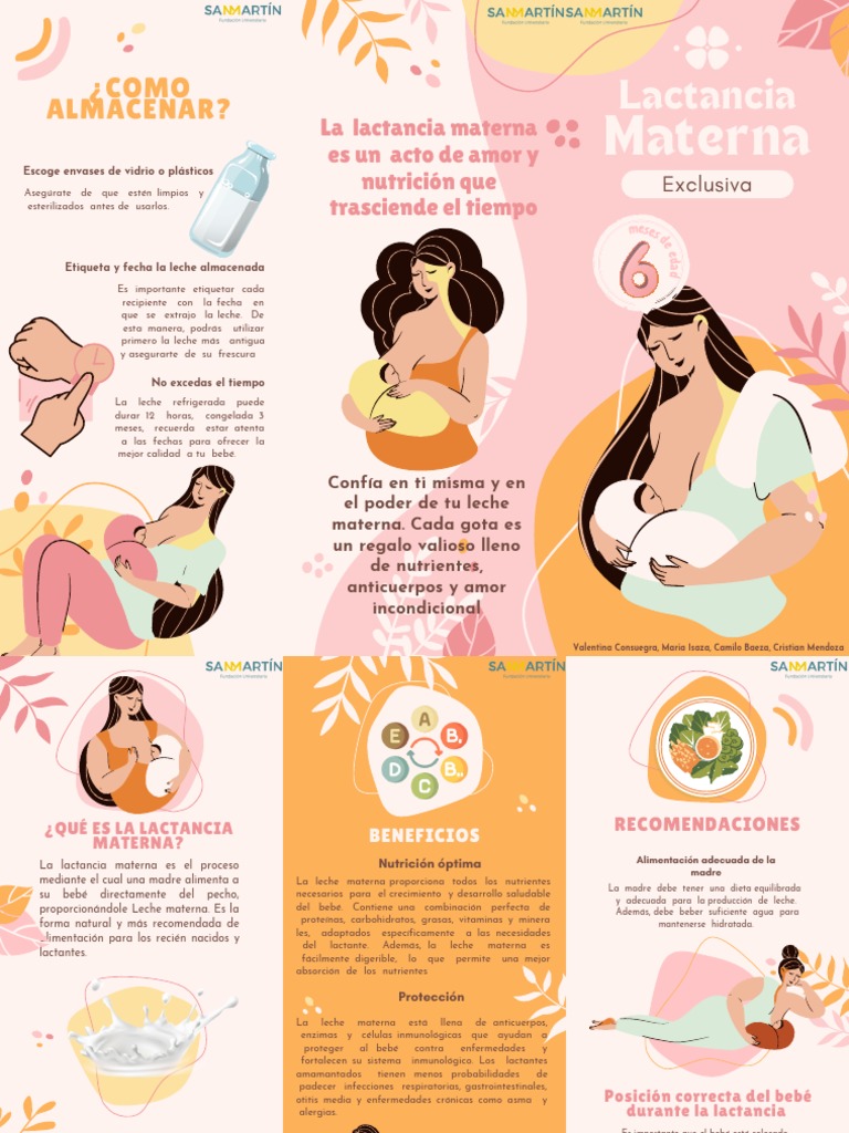 Lactancia Materna Exclusiva Folleto | PDF