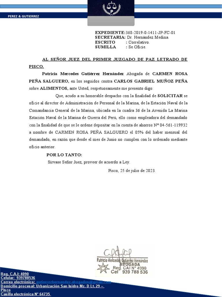 Modelo de Escrito | PDF