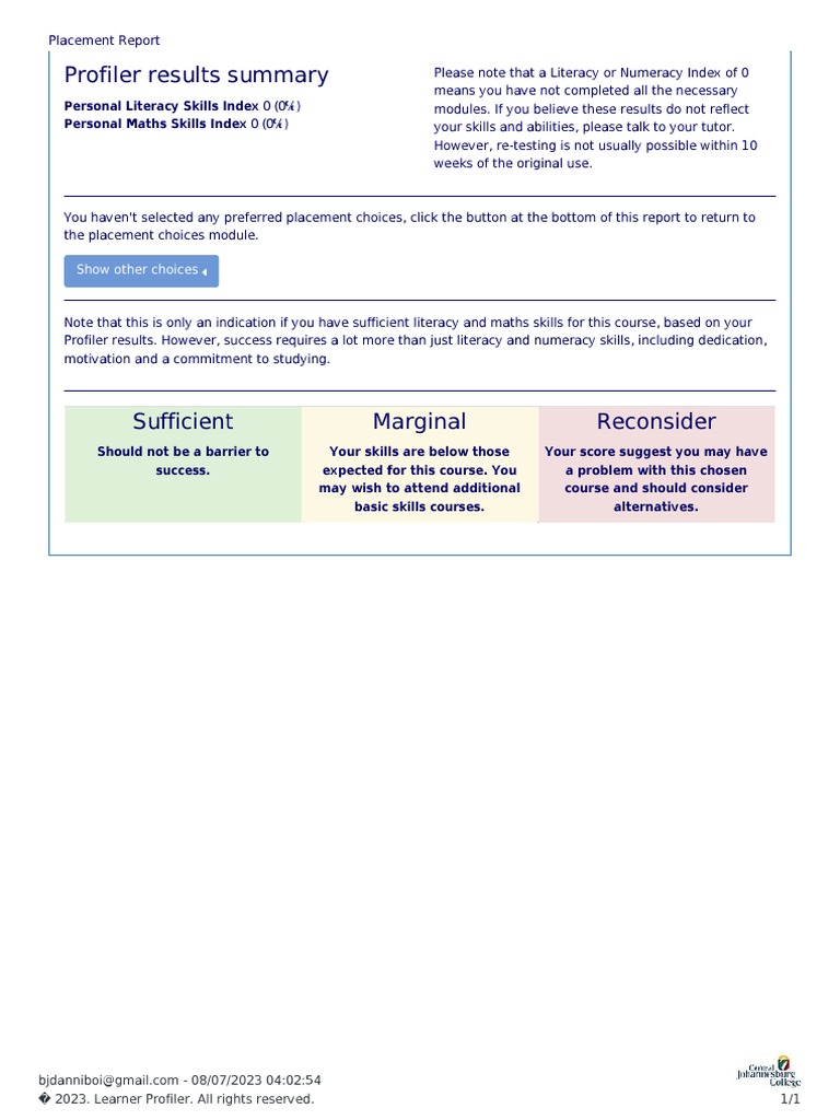 Placement Report | PDF