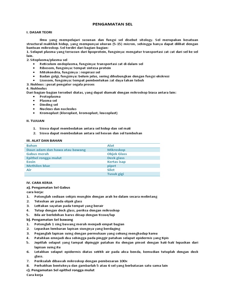 LKPD Pengamatan Sel | PDF