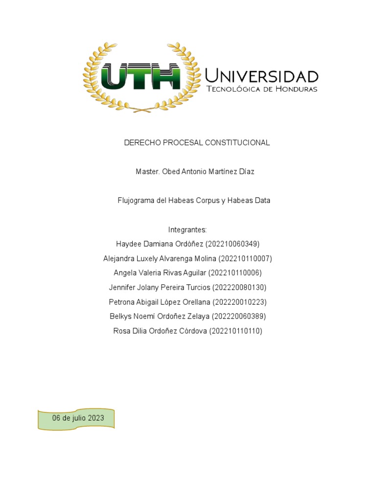 Flujograma Del Habeas Corpus y Habeas Data | PDF | Habeas corpus ...