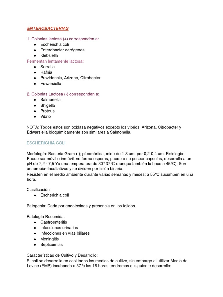 Clasificación de Enterobacterias | PDF
