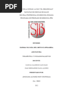 G00163403-02-Reliveran Comprimidos Sublingual Gotas | PDF | Tableta ...