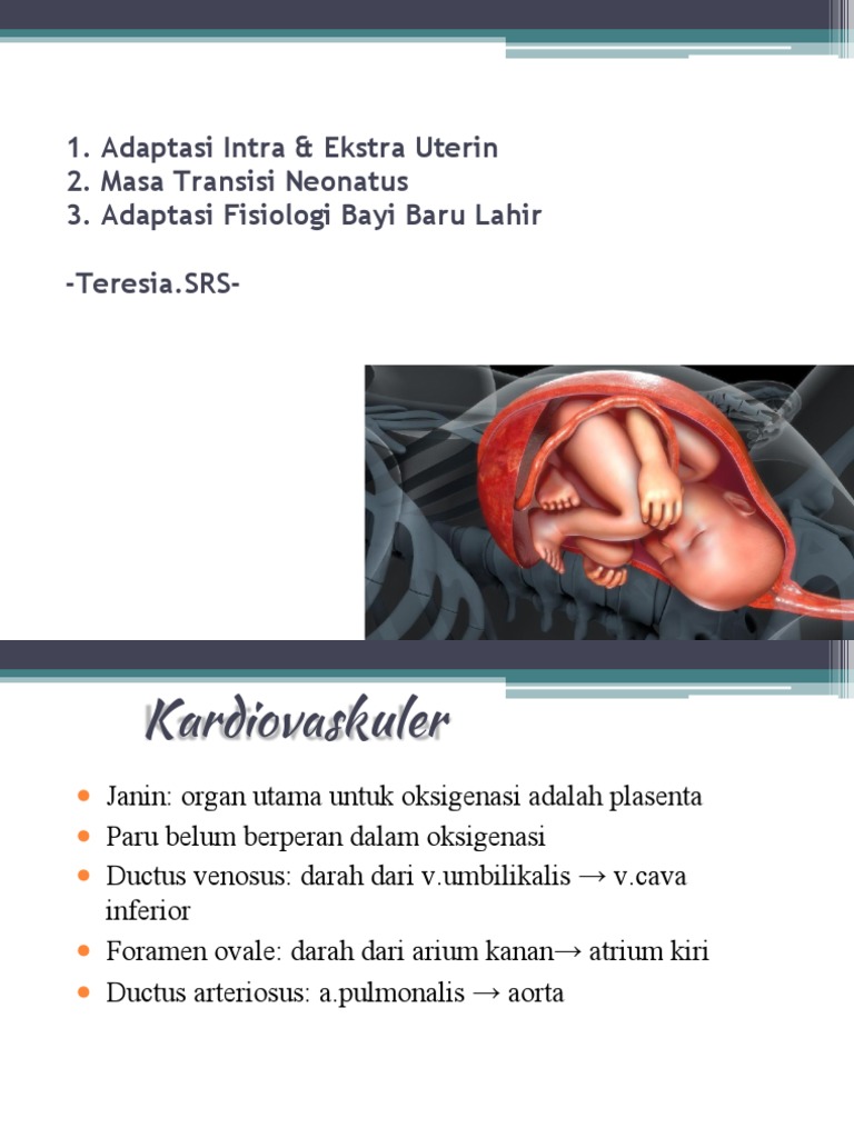 Adaptasi Intra Dan Ektra Uterin, Transisi Neonatus, Fisiologi BBL - Bu ...
