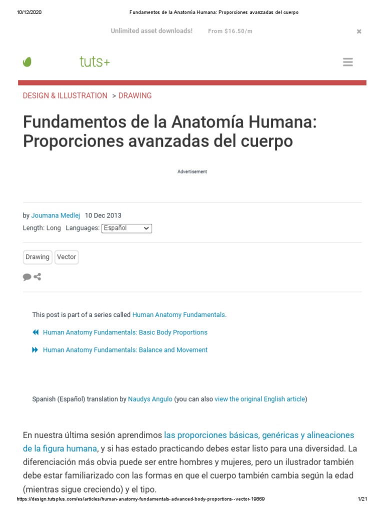 U1 Fundamentos Anatomía Humana Proporciones Pdf Adultos Mujer