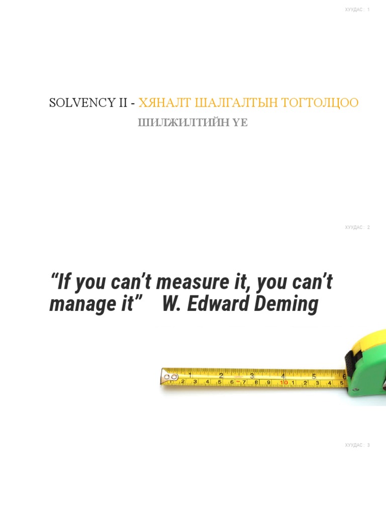 Solvency II Transformation | PDF