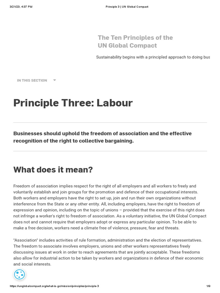 Principle 3 - UN Global Compact | PDF