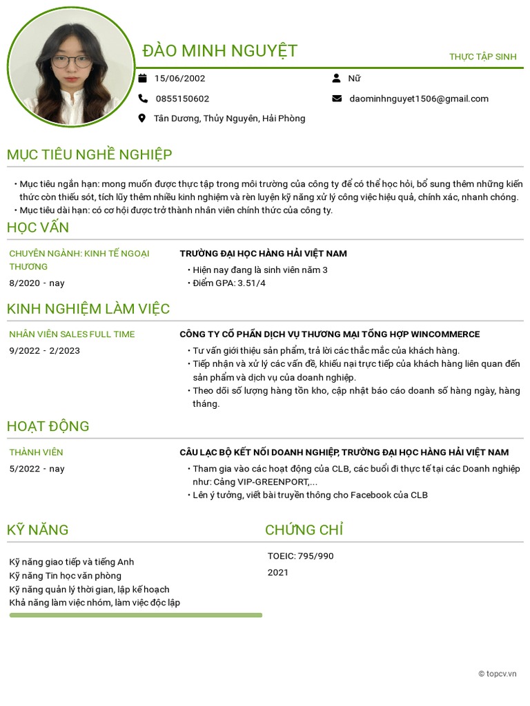 CV Dao Minh Nguyet | PDF