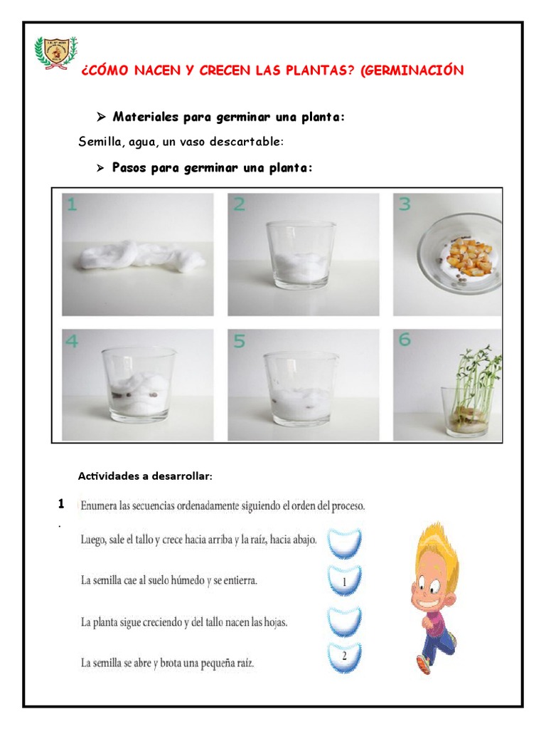 Hoja De Trabajo Sobre Cómo Crecen Las Plantas