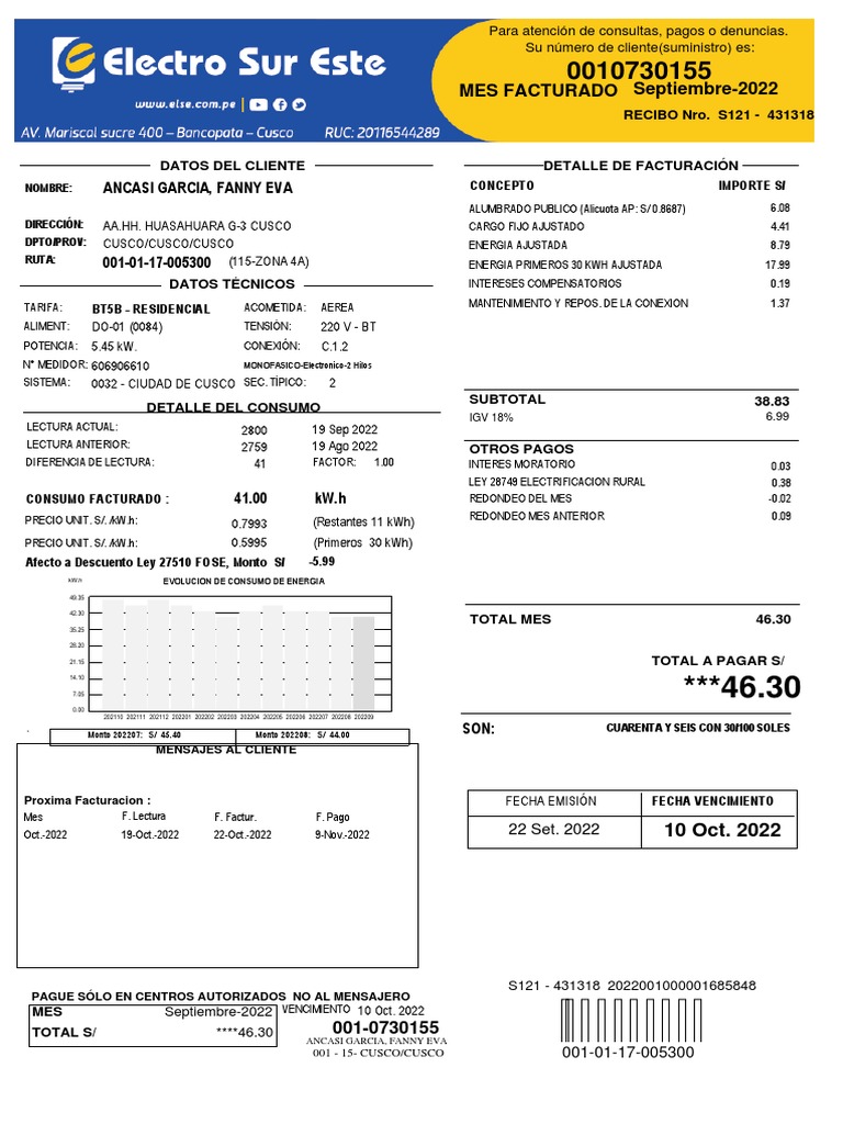 Ejemplo Boleta | PDF