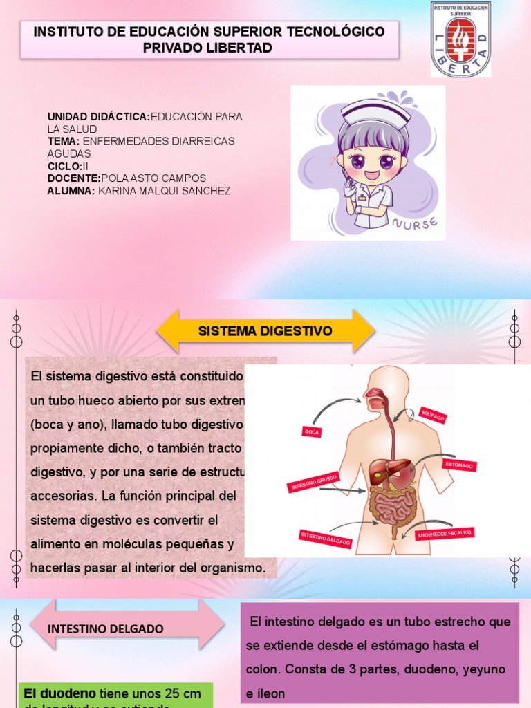 Diapos de Edas 2023 Completo | PDF