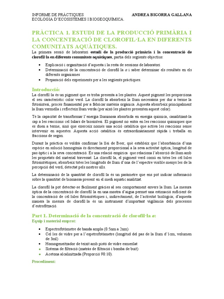 Informe Pràctiques | PDF