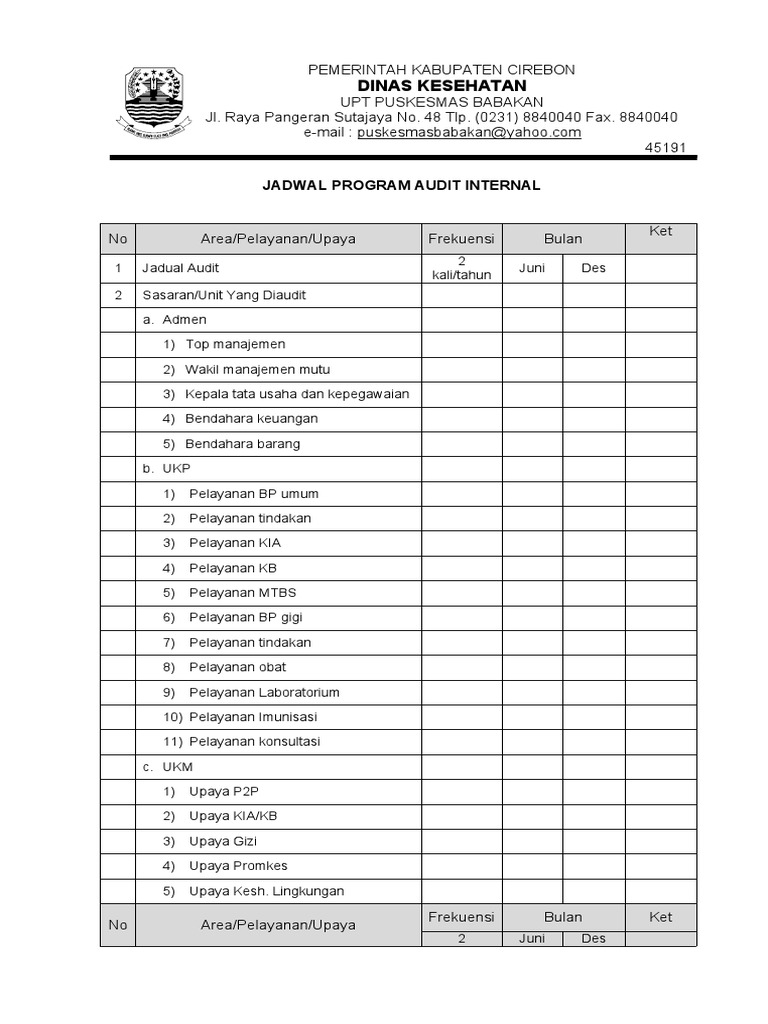 Program Audit Internal | PDF