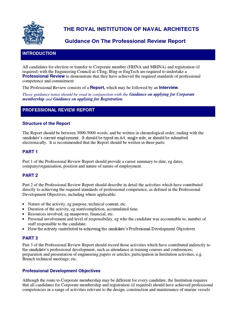 Professional Review Report Guidance | PDF | Business
