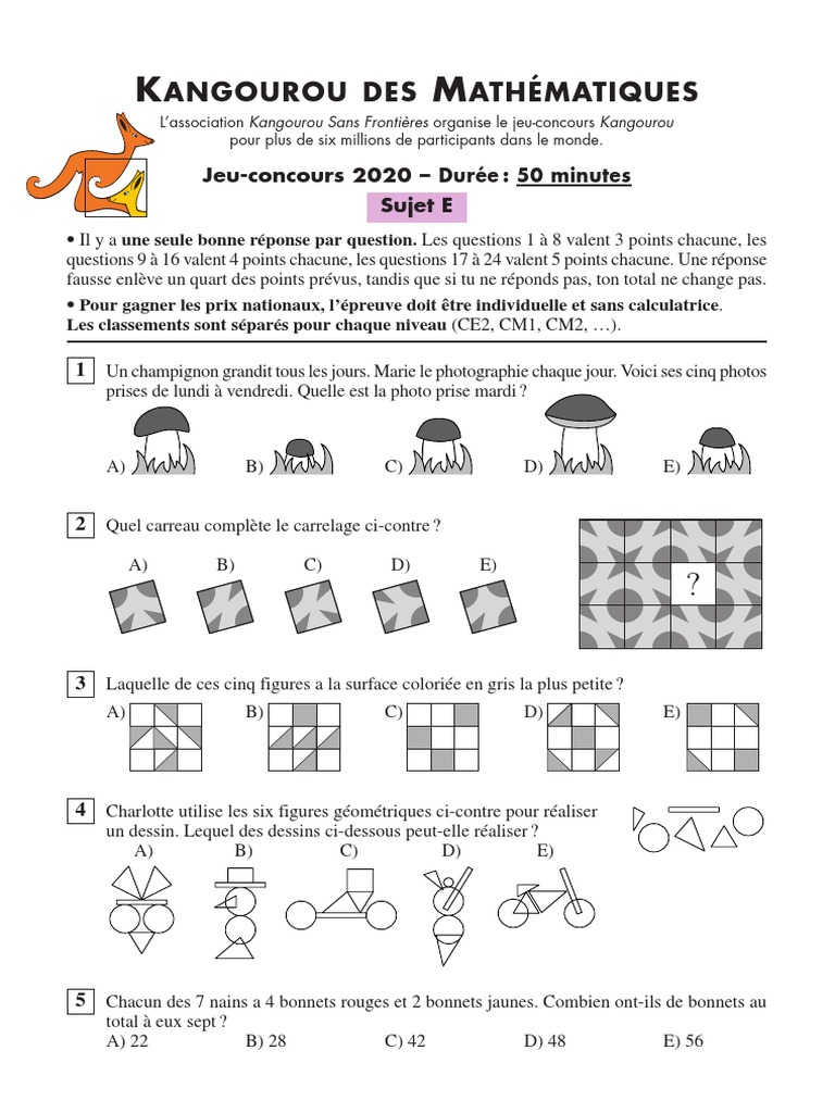 Kangourou 2020 e | PDF