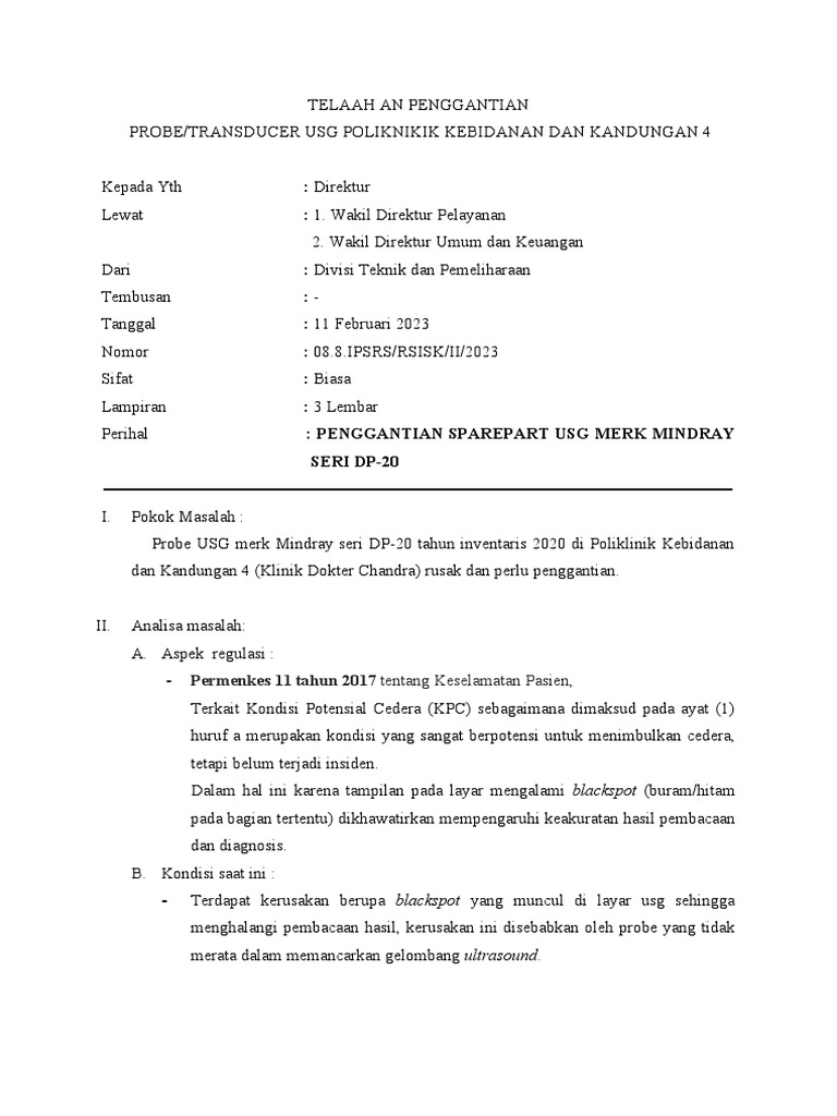 TELAAH AN PROBE USG DP-20 DR Chandra | PDF