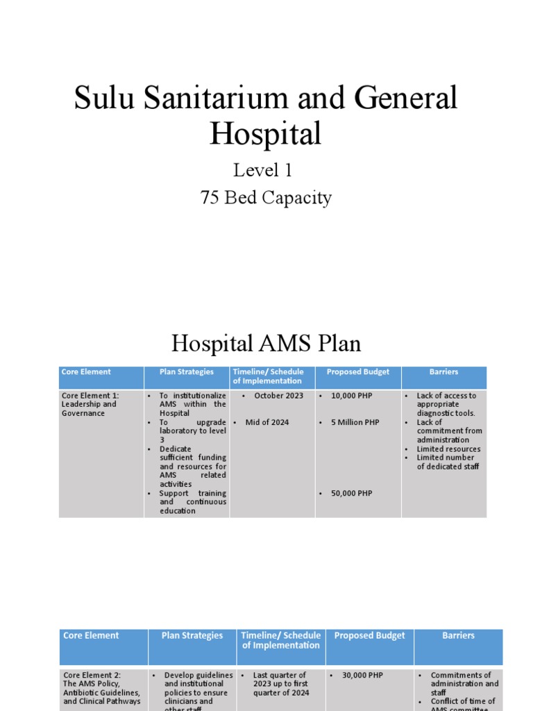2 Hospital AMS Plan | PDF