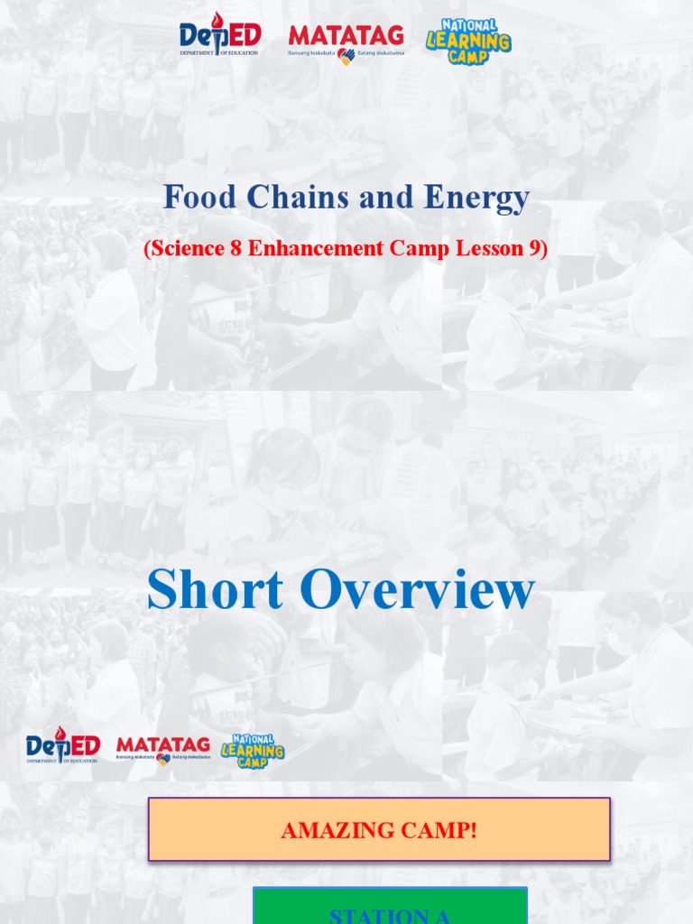 Science 8 - Lesson9 - Enhancement | PDF