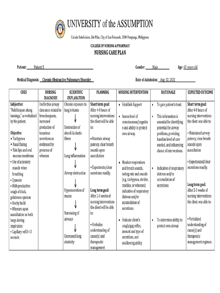 COPD Care Plan Model | PDF