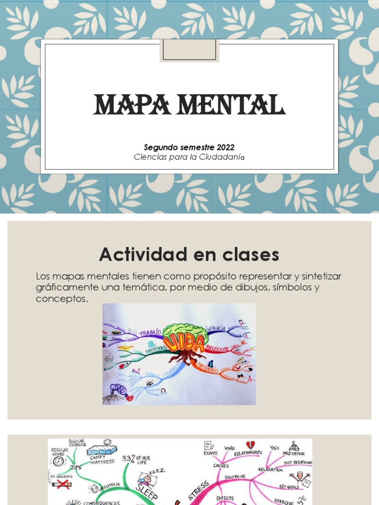 Mapa Mental | PDF