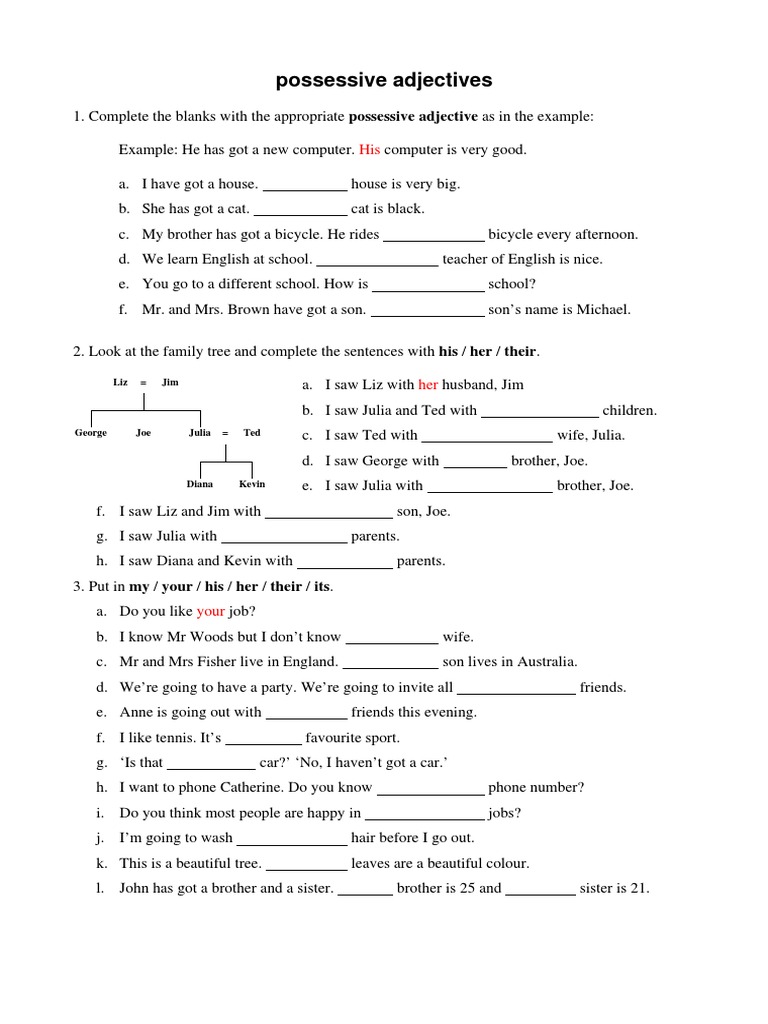 Possessive Adj Exercise | PDF