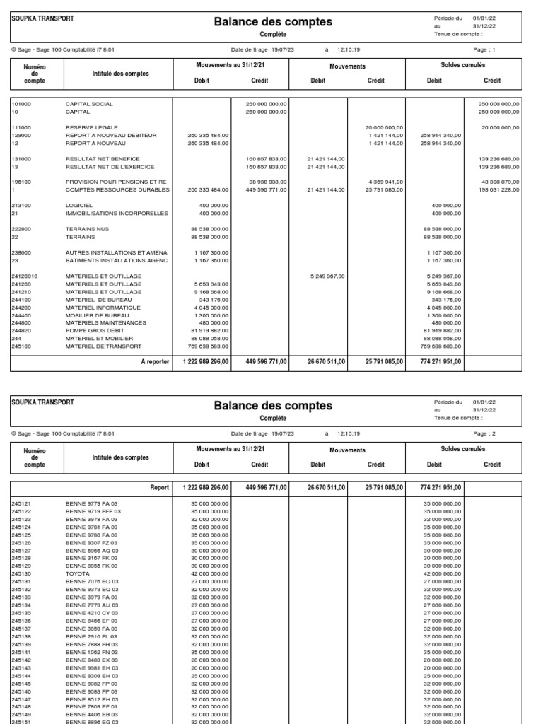 Balance Des Comptes | PDF