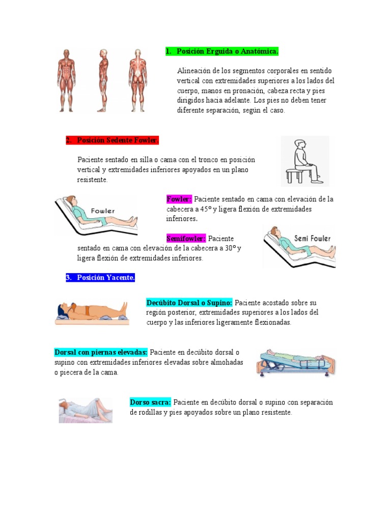 Posiciones Anatomicas | PDF