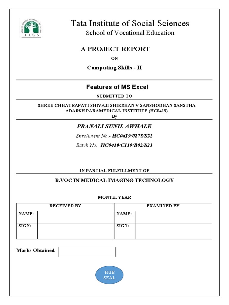 Computing Skills Ii Pdf Microsoft Excel Spreadsheet