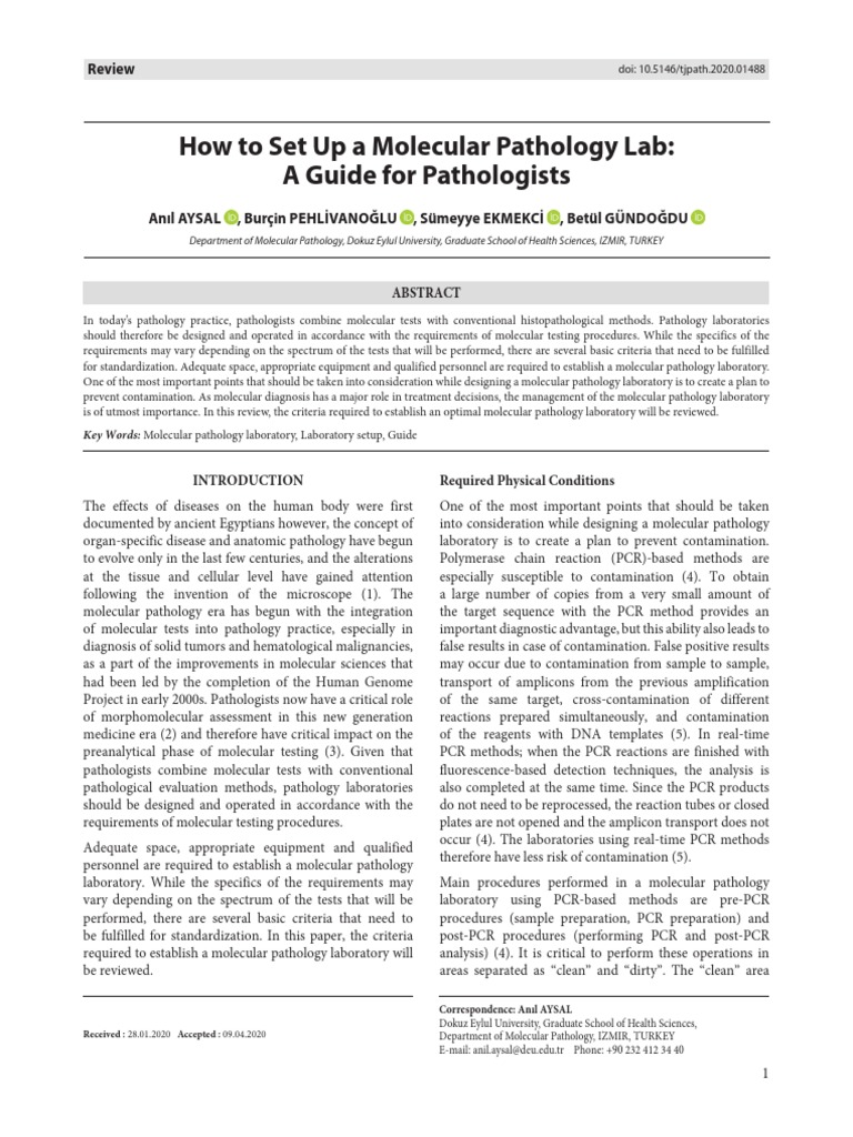 Setting Up a Molecular Pathology Lab | PDF