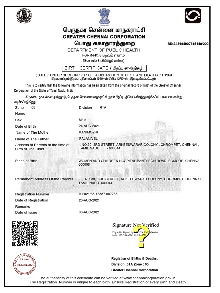 Chennai Birth Certificate Sample | PDF