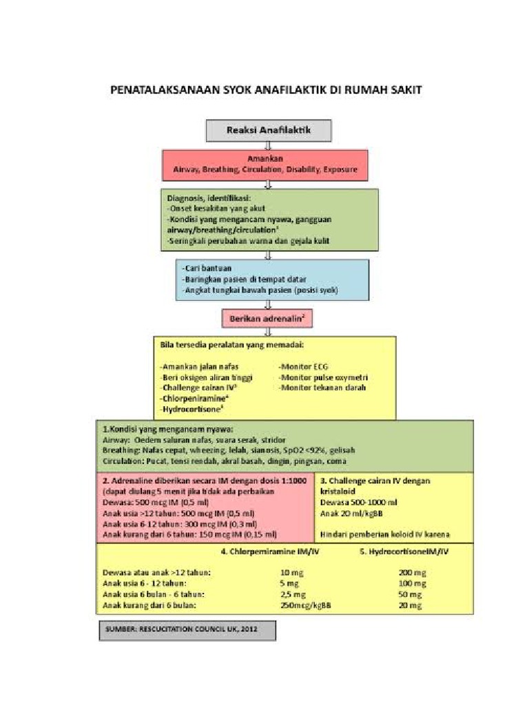 Penatalaksanaan Anafilaktik Syok | PDF