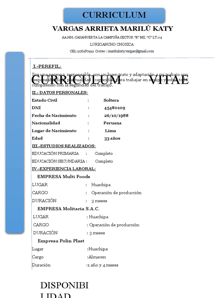 Vargas Arrieta Marilú Katy Curriculum Vitae | PDF