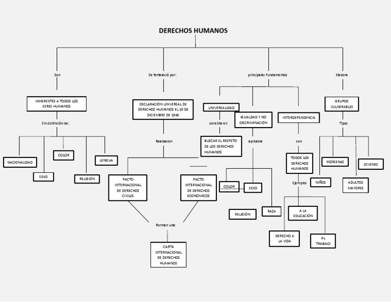 Mapa Conceptual de Los Derechos Humanos 2 | PDF
