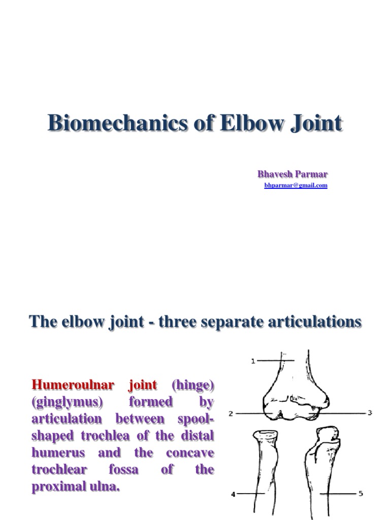 BM - Lec 11 - Mechanics of Elbow Joint | Download Free PDF | Elbow ...