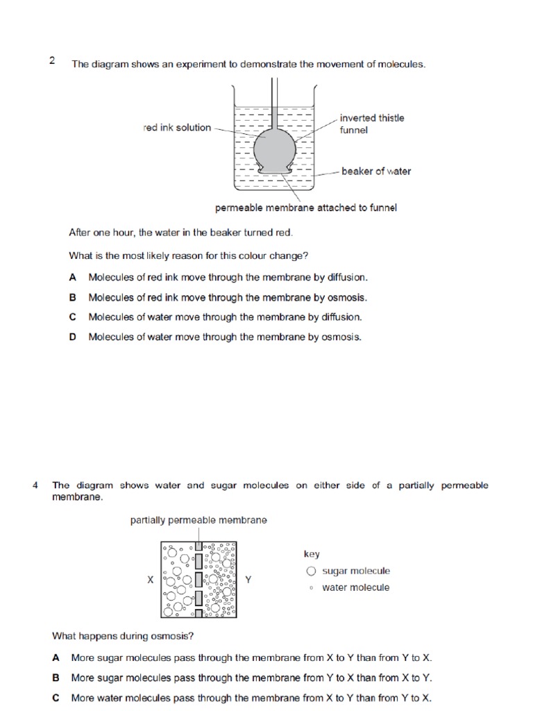 Chapter 3 MCQs | PDF