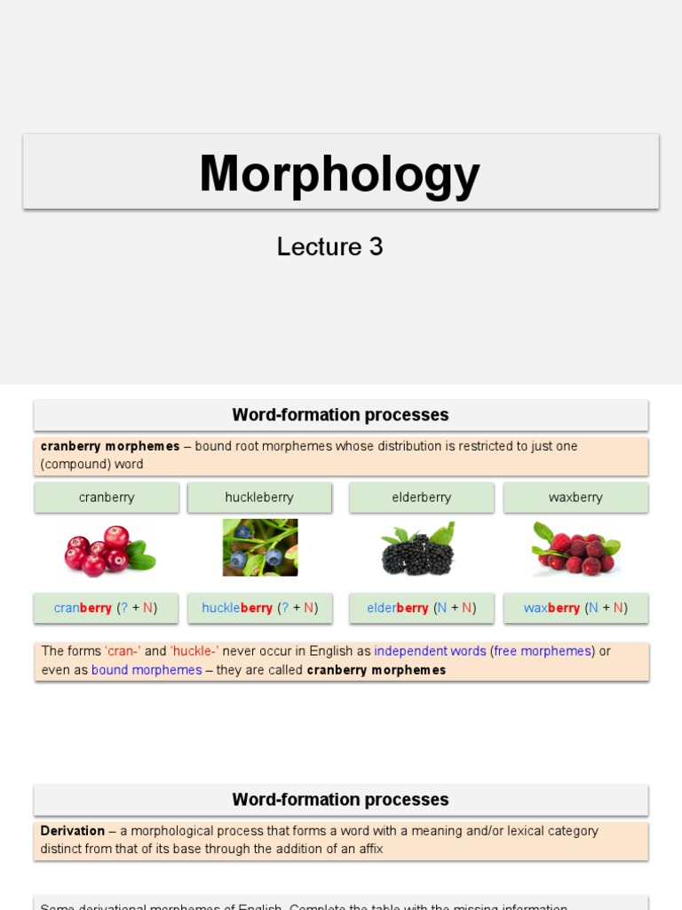 Morphology - Slides Lecture 3-1 | PDF | Morphology (Linguistics) | Lexical Semantics
