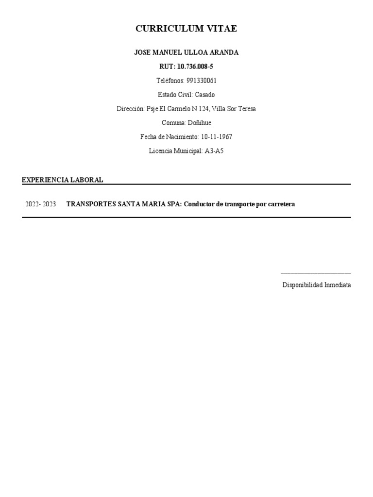 Curriculum Vitae Cristian Díaz | PDF