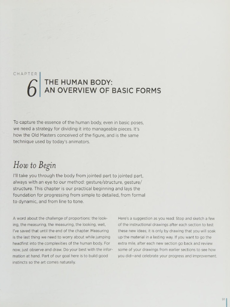06 - The Human Body - An Overview of Basic Form | PDF