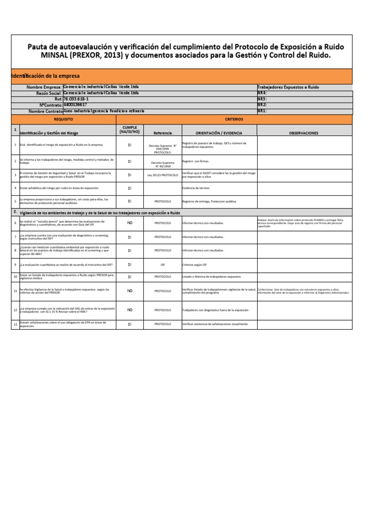 Pauta Autoevaluacion Prexor (Dsal) | PDF