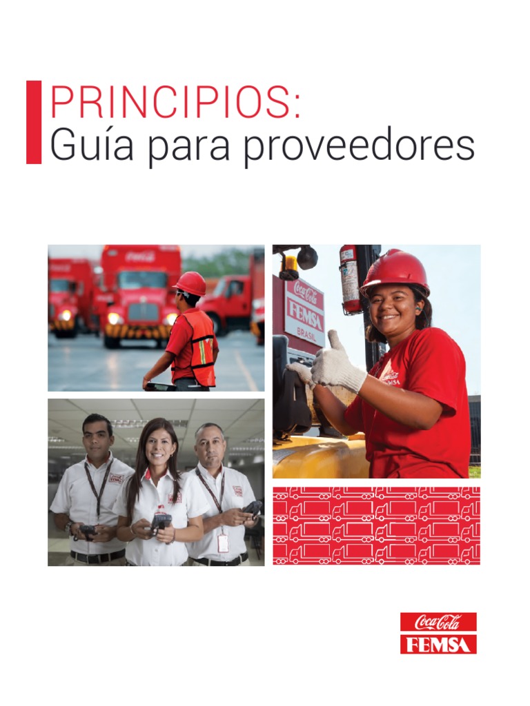 Principios Guia para Proveedores 20 02 23 | PDF
