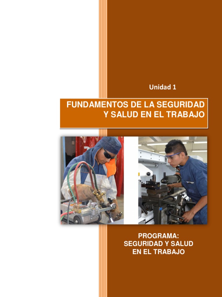 Fundamentos de La Seguridad | Descargar gratis PDF | Seguridad y salud ocupacional | Higiene ...