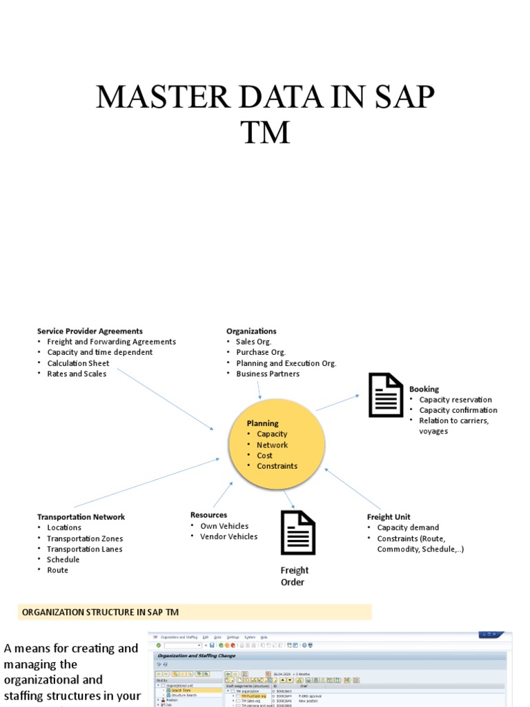 Master Data in Sap TM | PDF | Business | Computers