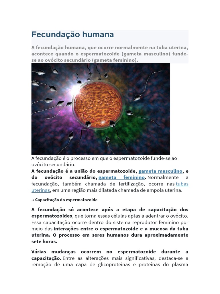 Fecundação humana | PDF