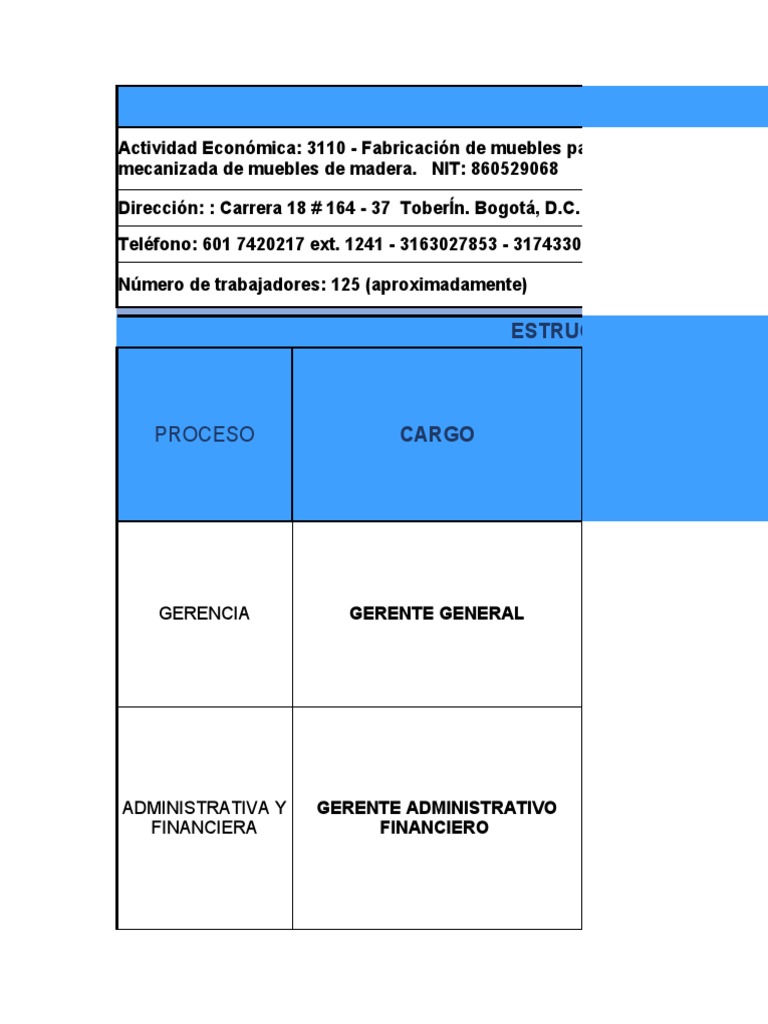 Coldiseno Sas Profesiograma 2023 | PDF | Negocios | Finanzas y dinero