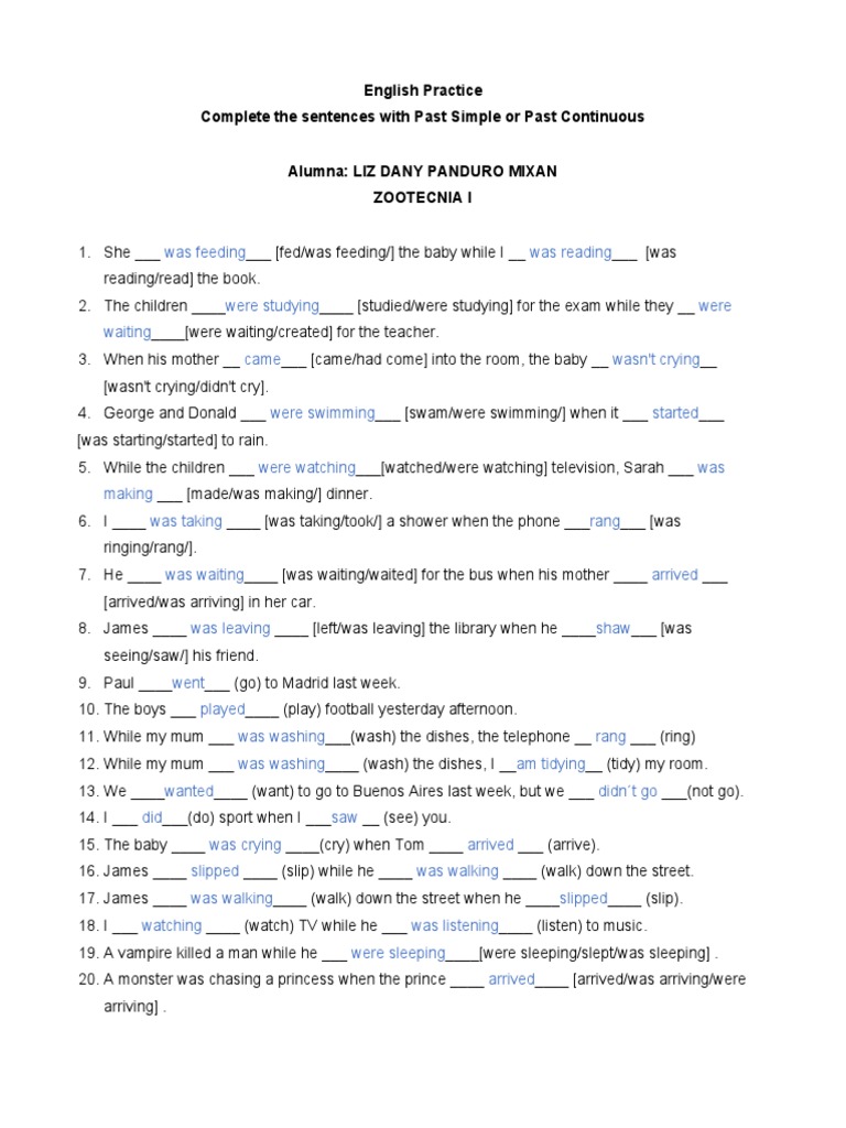 Practice Simple Past VS Past Continuous - PRACTICE | PDF