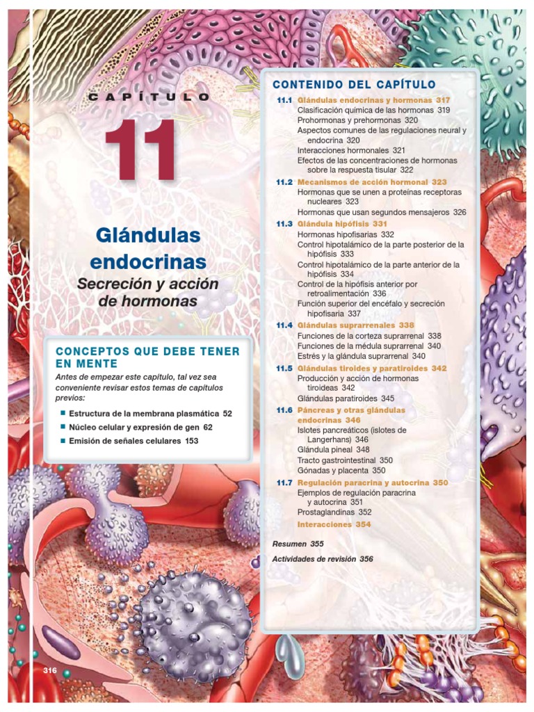 Endocrino Fisiologia Humana Stuart Ira Fox | PDF | Sistema endocrino ...